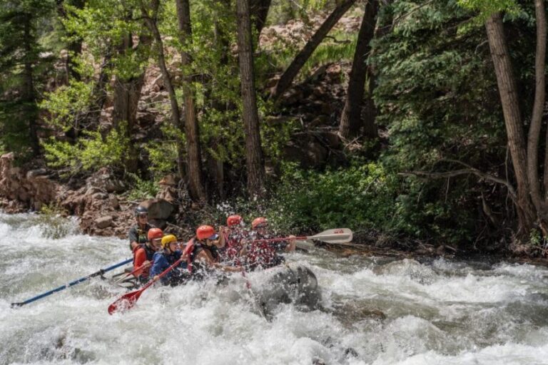 Telluride Morning Half Day Rafting Trip - San Miguel River - What to Expect During the Trip