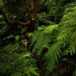 Tenerife: Anaga and La Laguna VIP Tour - The Sum Up