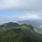 Tenerife: Anaga UNESCO VIP TOUR - Who Is This Tour Perfect For?