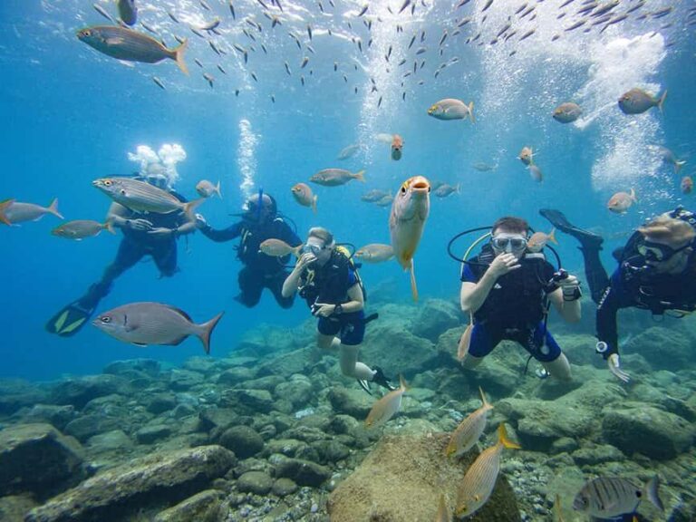 Tenerife: Beginner Scuba Dive Experience with Small Groups - Who Is This Experience Best For?