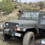 Tenerife: Coastal tour in a Jeep Wrangler to Los Gigantes and the South Coast - What to Expect During Your Day