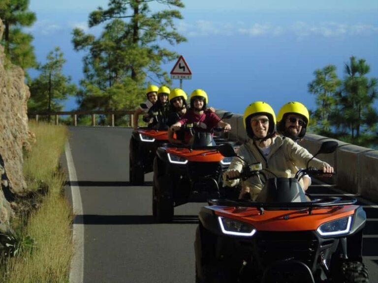 Tenerife Guide Quad Bike Tour Teide National Park - The Practicalities of Booking and Participation