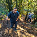 Tenerife: Hike Above Masca in Enchanted Forest with Pick-up - The Practicalities: What to Expect and What to Bring