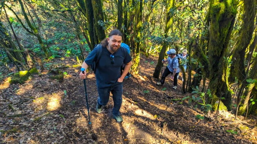 Tenerife: Hike Above Masca in Enchanted Forest with Pick-up - The Practicalities: What to Expect and What to Bring