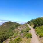 Tenerife: Hiking Above the Village of Masca - Authentic Experiences and Real Traveler Feedback