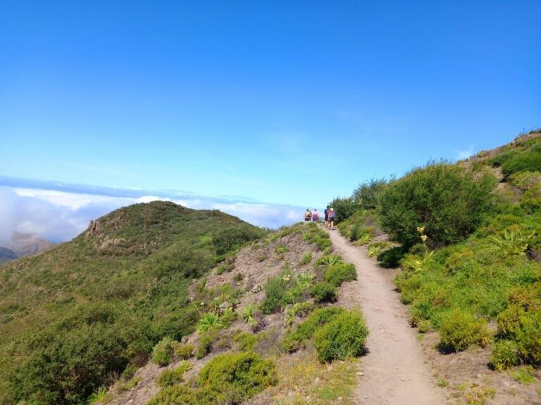 Tenerife: Hiking Above the Village of Masca - Authentic Experiences and Real Traveler Feedback