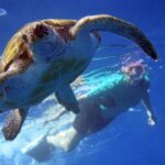Tenerife: Kayak and Snorkel with Turtles with Free Videos - The Practical Side: Pricing, Duration, and Logistics