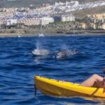 Tenerife: Kayak Safari and Sea Turtle Snorkeling - The Review from Travelers
