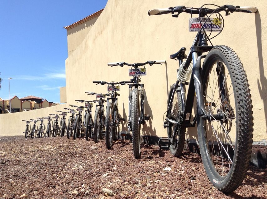 Tenerife: Mountain Bike Rental with Hotel Delivery - Analyzing the Value