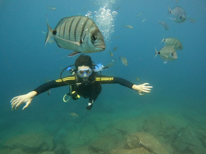 Tenerife: PADI Beginner Scuba Dive in the Turtle Area - Detailed Itinerary Breakdown