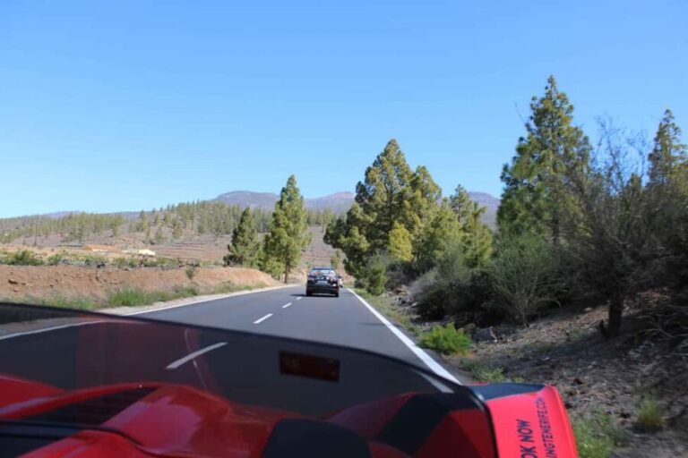 Tenerife: Pino Gordo Self-Drive Slingshot Tour - Is It Worth the Price?