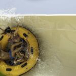 Tenerife: Siam Park Premium Full-Day Experience - The Itinerary Breakdown