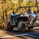 Tenerife: Teide Mountain Buggy On-Road GuidedTour with drink - Who Will Love This Tour?