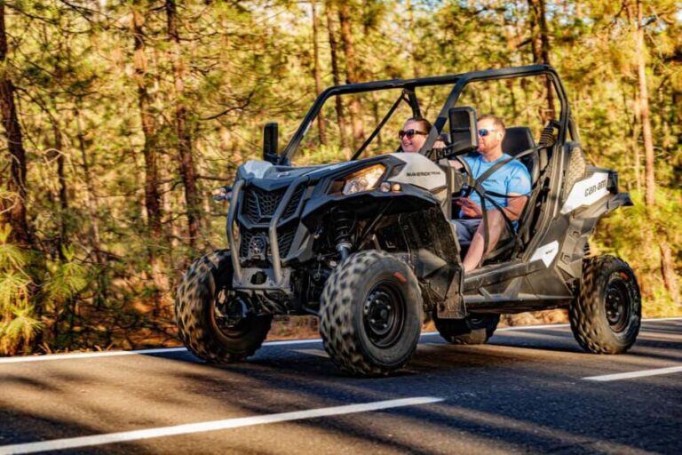 Tenerife: Teide Mountain Buggy On-Road GuidedTour with drink - Who Will Love This Tour?