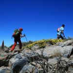 Tenerife: Teide National Park Guided Tour - Exploring Teide National Park: What You Can Expect