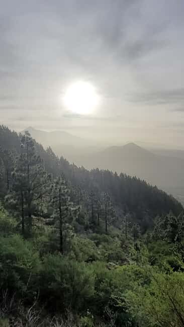 Teno: Circular hike from Erjos over the mountain ridge with views of Masca - Who Will Love This Tour?