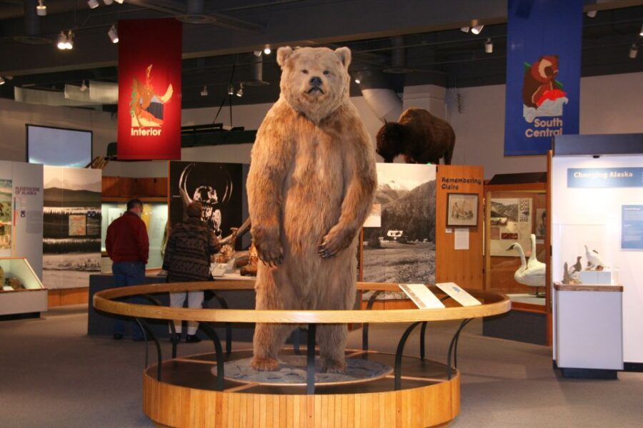 The Best of Fairbanks: Half-Day City Highlights Tour - The Value in This Tour