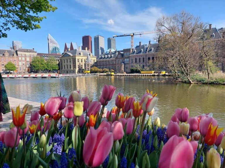 The Hague Private City Tour with an Architect - FAQ