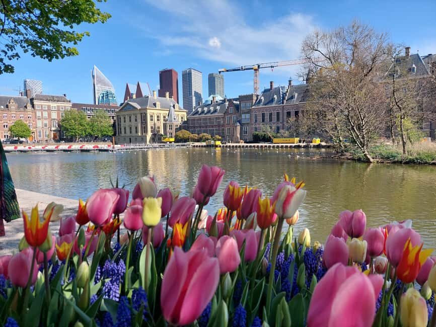 The Hague Private City Tour with an Architect - FAQ