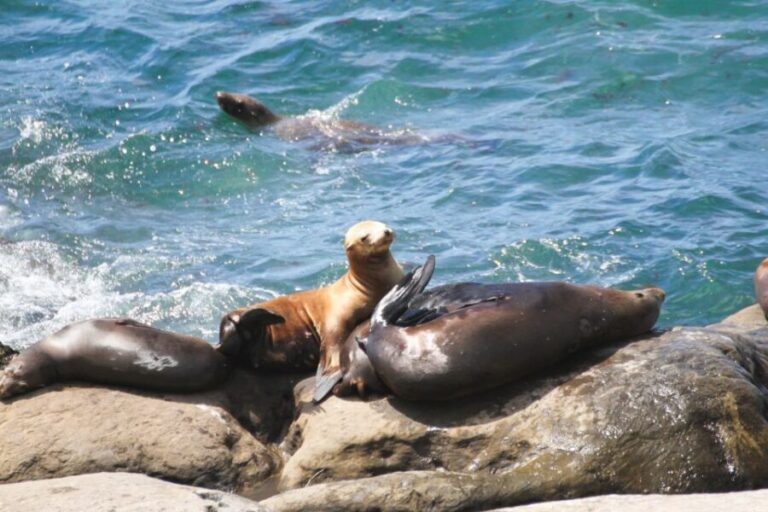 The San Diego Highlights Tour - Is the Price Worth It?