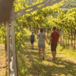 THE TRADITIONS OF VALPOLICELLA: WINE, EVO OIL, AND HONEY TASTING - Who Will Love This Experience?