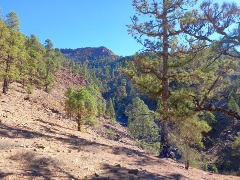 The Wow Factor Walk - Authenticity and Experience