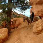 Thunder Mountain Trail: Scenic Horseback Ride - Why the Views Make a Difference