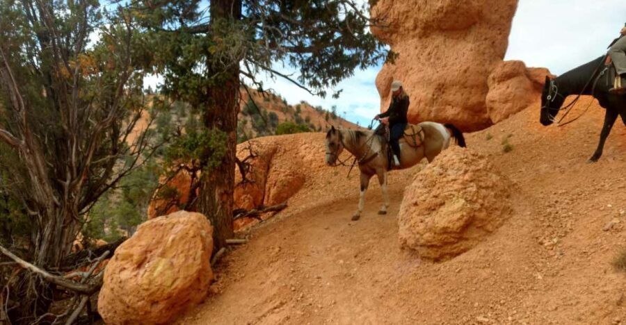 Thunder Mountain Trail: Scenic Horseback Ride - Why the Views Make a Difference