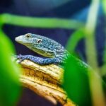 Ticket pack for Zaragoza Amusement Park and Aquarium - The Practical Side: Is It Worth the Price?