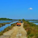 Tirana/Durres/Golem: Karavasta Lagoon Day Tour with Boat - What Makes This Tour Truly Valuable?
