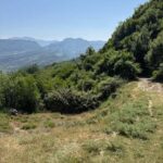 Tirana: Petrelë, Shkalla e Çirmës, and Përsqop Hiking Tour - Who Will Love This Experience