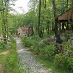 Tkibuli Day Trip with Wine & Tea Tasting from Kutaisi - The Practicalities