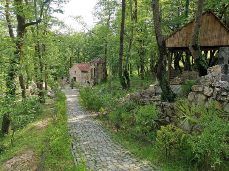 Tkibuli Day Trip with Wine & Tea Tasting from Kutaisi - The Practicalities