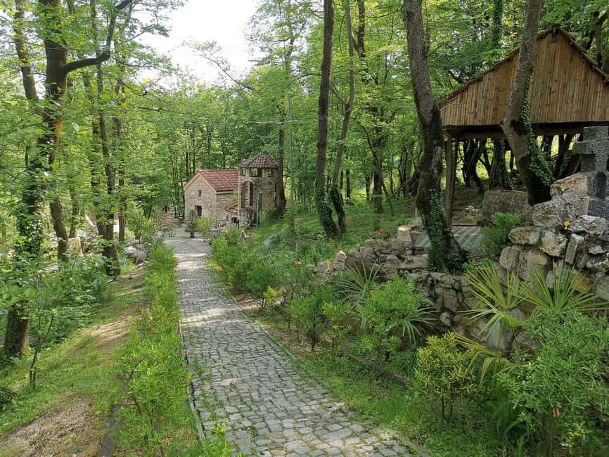 Tkibuli Day Trip with Wine & Tea Tasting from Kutaisi - The Practicalities
