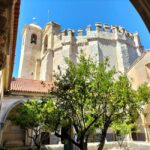 Tomar and Almourol (Knights Templar): Day Tour from Lisbon - What Others Say