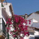 Torremolinos-Benalmádena: Jeep EcoTour - Authentic Andalusia - Final Thoughts