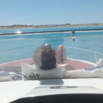 Tour: "Ibiza-Formentera" from the sea in a private boat - Why This Tour Stands Out