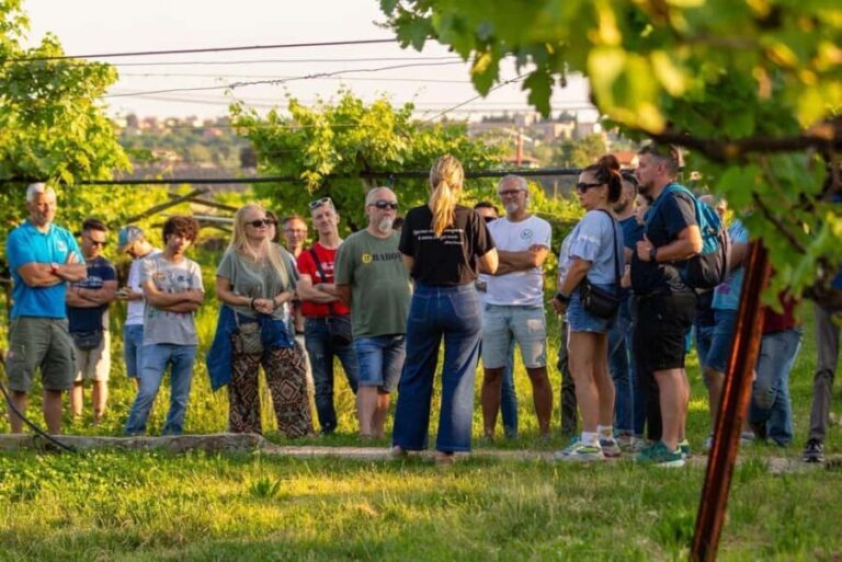 Tour in Valpolicella: wine, oil, and peach tasting - Key Highlights