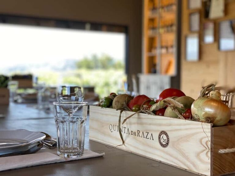 Tour of the vineyards, organic vegetable garden and animal farm. - Exploring Quinta da Raza: A Balanced View