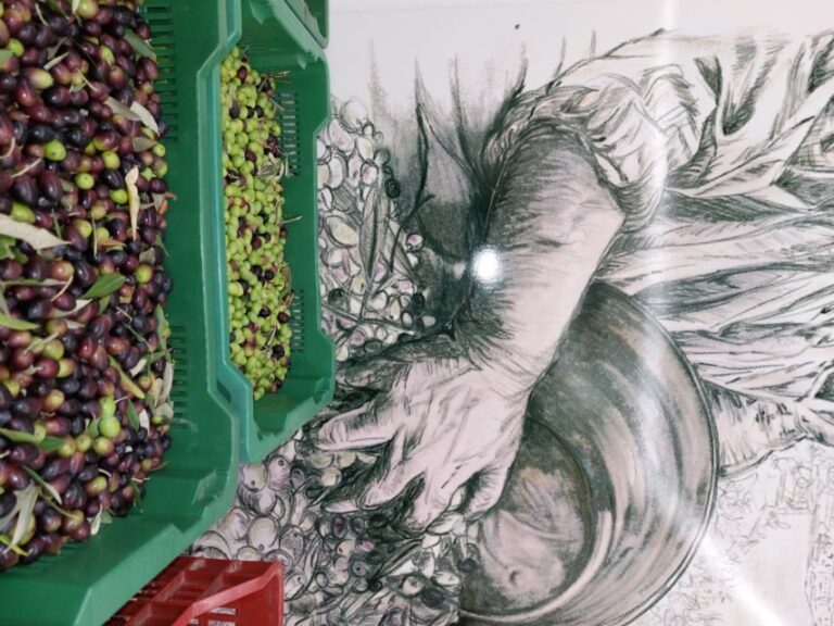 Tour & Tasting of Olive Oil and Tuscan Products - Sarteano - Practical Details & Tips