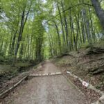 Trail Running Adventure - Who Will Benefit Most From This Tour?