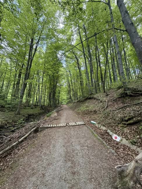 Trail Running Adventure - Who Will Benefit Most From This Tour?