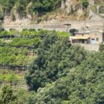 Tramonti: Lemon Tour at "Formichelle" Farm on Amalfi Coast - Step-By-Step: What to Expect During the Tour