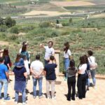 Trapani: Organic Wine Tasting with the Producer - The Itinerary in Detail: What You Can Expect