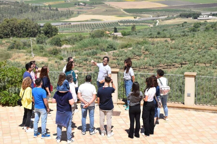 Trapani: Organic Wine Tasting with the Producer - The Itinerary in Detail: What You Can Expect