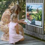 Treetop Walk Bavarian Forest: Discover the world of treetops - What Makes the Treetop Walk Special?