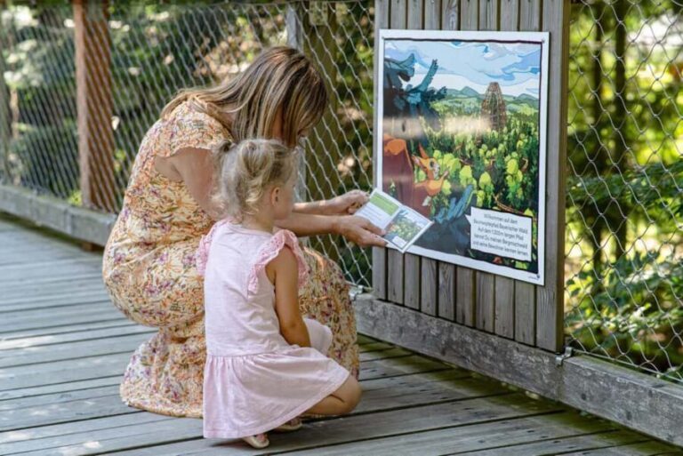 Treetop Walk Bavarian Forest: Discover the world of treetops - What Makes the Treetop Walk Special?