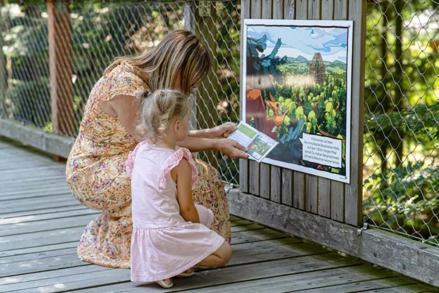 Treetop Walk Bavarian Forest: Discover the world of treetops - What Makes the Treetop Walk Special?