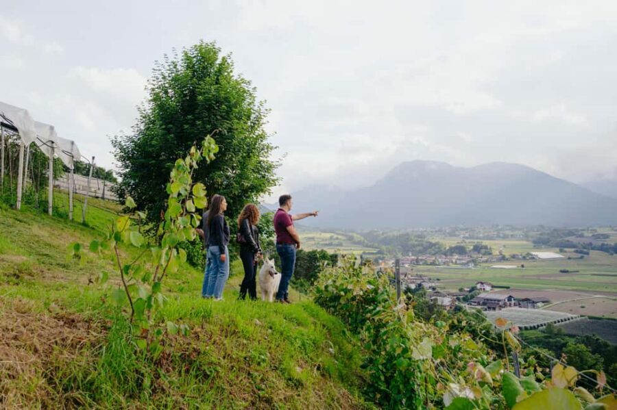 Trentino Agriconda: AgriBreak: an authentic snack surrounded by nature - The Practicalities: What to Expect Day-to-Day
