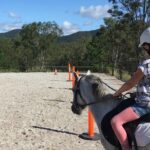 Trevena Glen 1hr Animal Tour - What Makes the Trevena Glen Animal Tour Stand Out?
